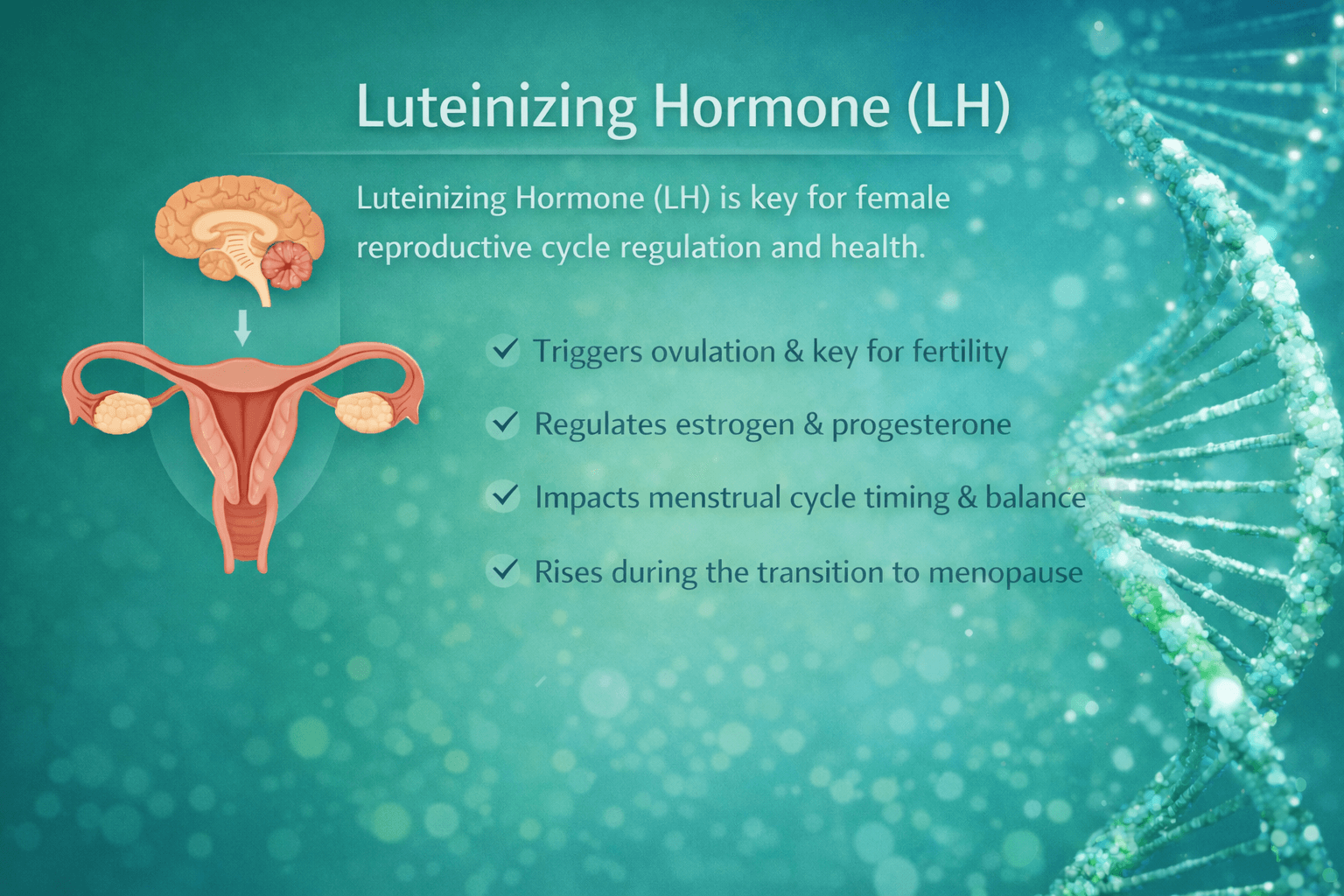 Luteinizing Hormone (LH) Female Biomarker Information - Intercoastal Health